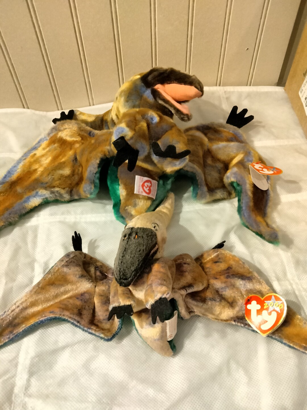 Ty Beanie Babies AND Buddies SWOOP the Turqoise Pterodactyl 2 Pc. Set ...
