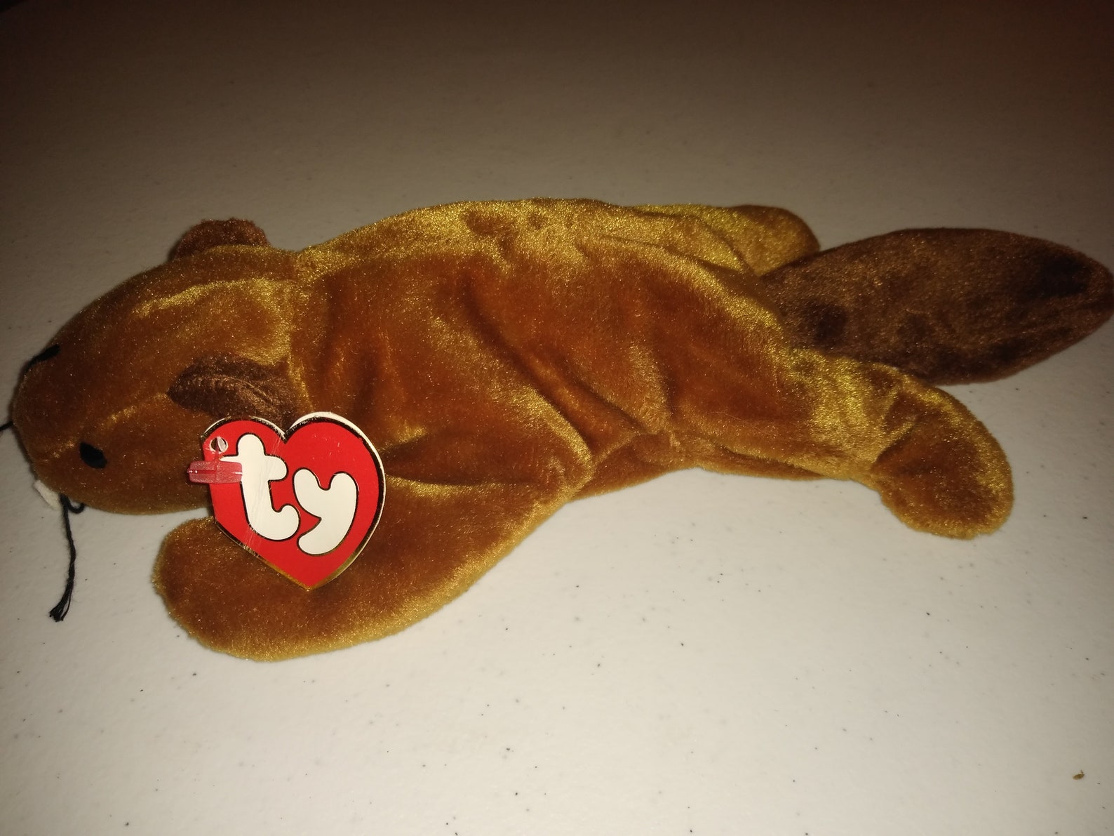 Ty Beanie Babies Bucky the Beaver With 3rd Generation Heart - Etsy