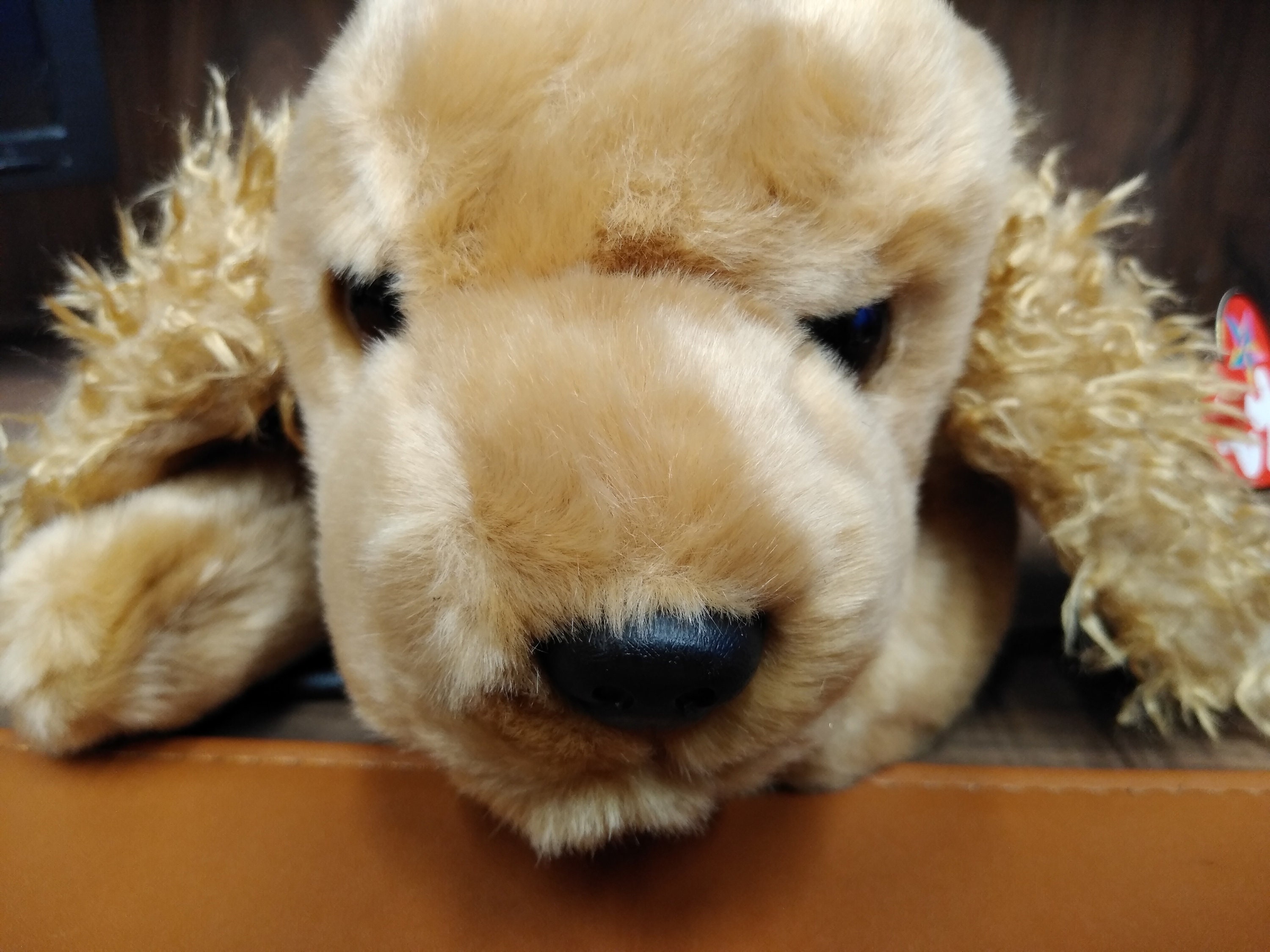 Ty Beanie Buddies Spunky the Golden Dog | Etsy