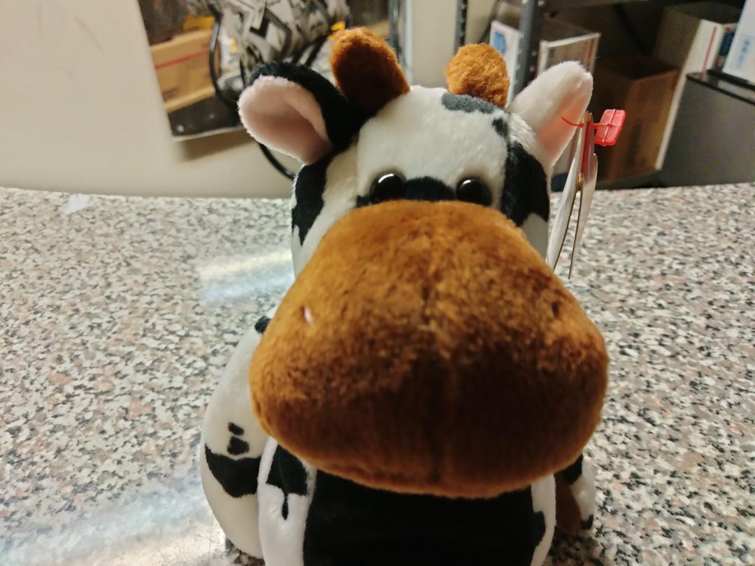 Ty Beanie Babies Tipsy the Black and White Cow With Really Big Brown ...
