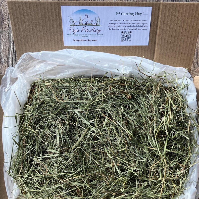 Guinea Grass - Etsy