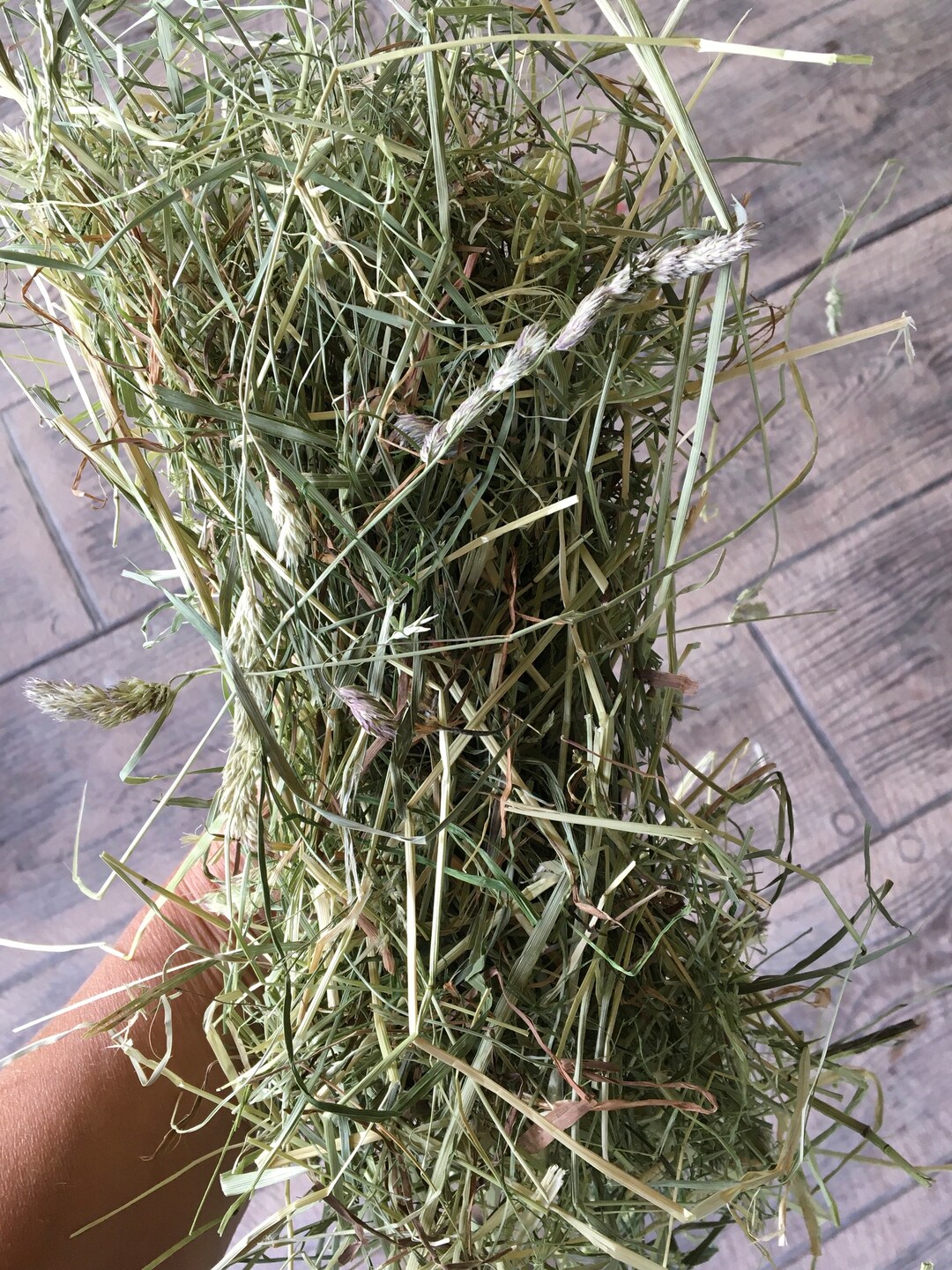 1 Lb Bag NEW 1st Cutting high Fiber Hay Fay's Pet Hay Timothy/orchard ...