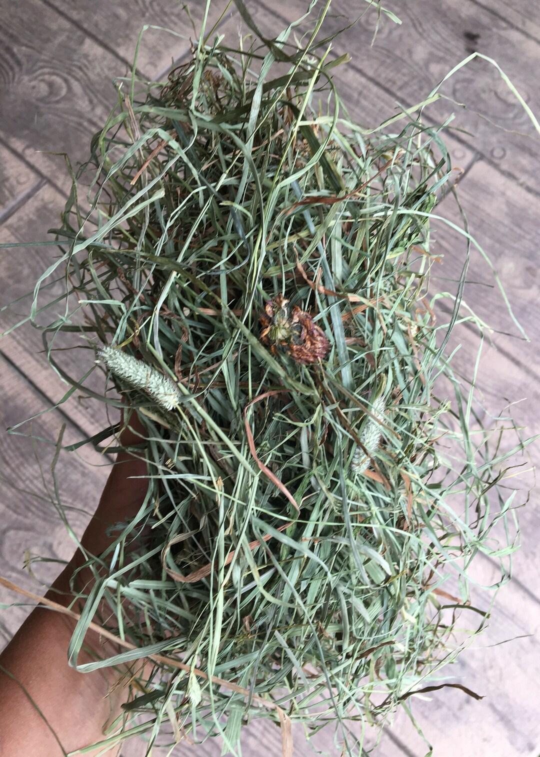 1 Lb Bag 2nd Cutting Premium Hay Fay's Pet Hay Timothy/orchard Mixed ...