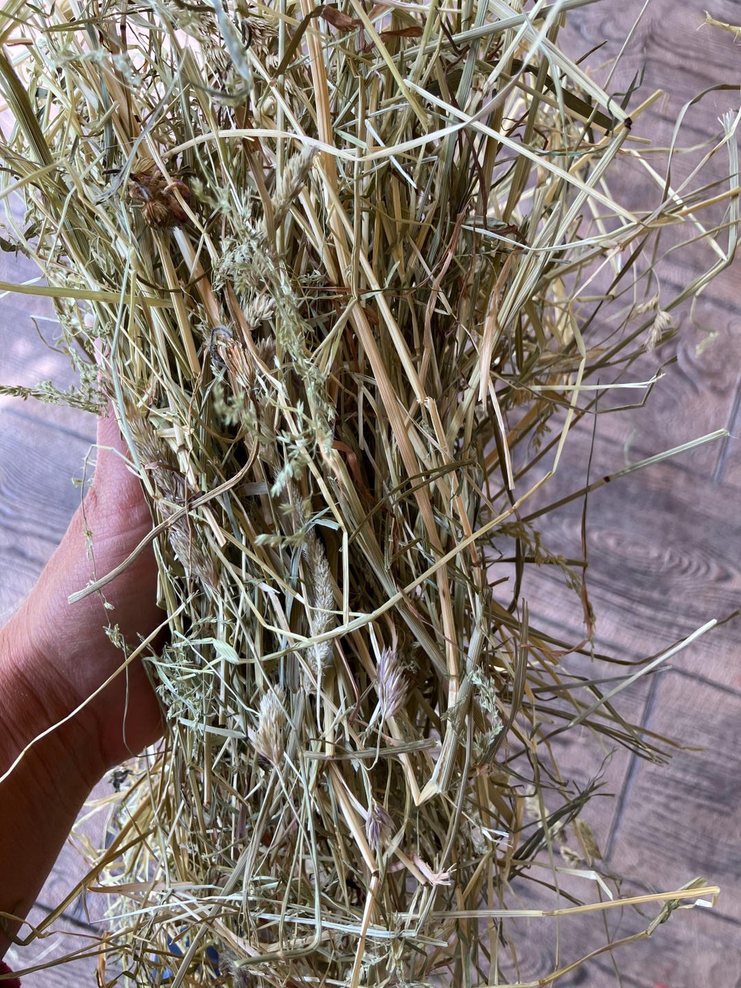 1 Lb - 1st Cutting "high Fiber" Hay! Fay's Pet Hay Timothy Mixed Grass ...