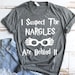 I Suspect the Nargles Are Behind It Bella Canvas HP Inspired Shirt ...