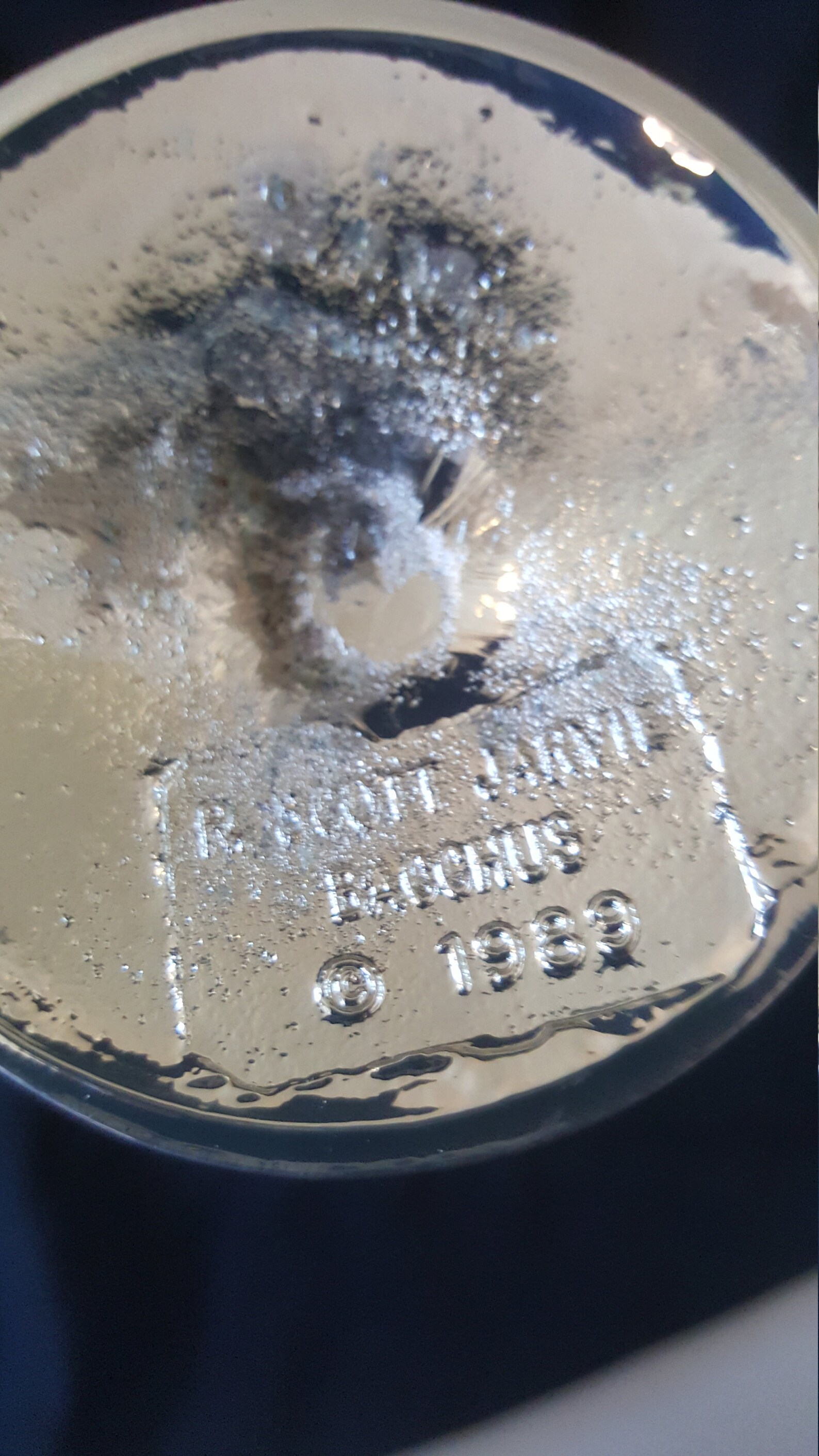 R Scott Jarvie Signed Bacchus Wine Goblet Ca.1989 WOW - Etsy