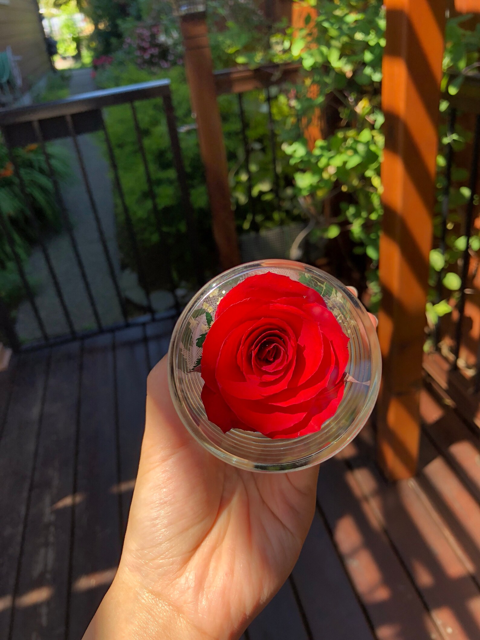 Small Forever Roses Real Forever Rosesvalentines Gift for | Etsy