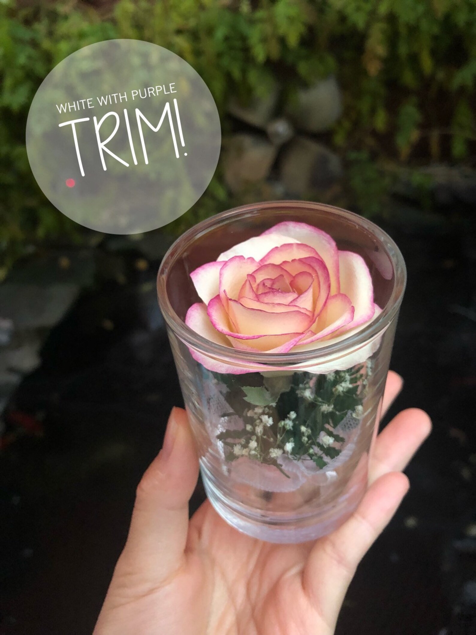 Small Forever Roses Real Forever Rosesvalentines Gift for | Etsy