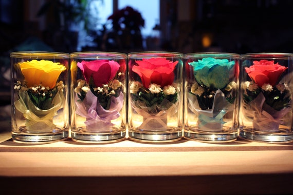 Small Forever Roses Real Forever Rosesvalentines Gift for | Etsy