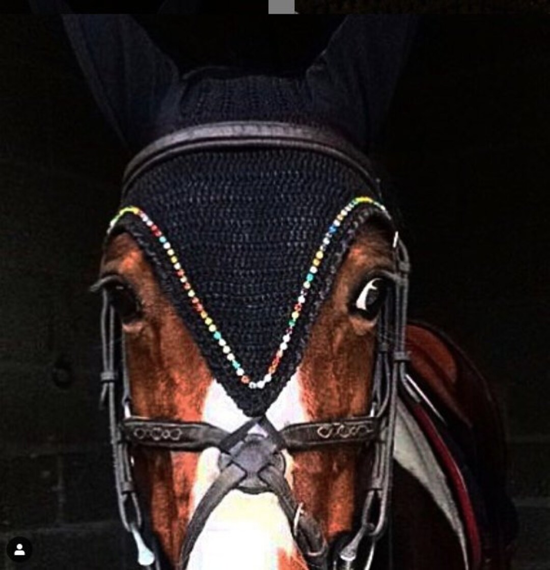 SHINY Bonnet Colorful Strass - Etsy