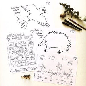 Australian Bush Kids Activity Echidna Printable Bundle Colour in Nature ...