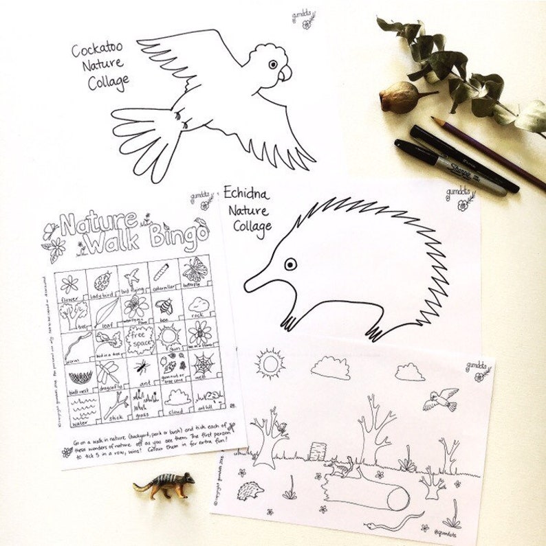 Australian Bush Kids Activity Echidna Printable Bundle Colour in Nature ...