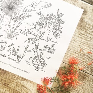 Australian Biodiversity Colour in Printable Illustration; Kids Activity ...