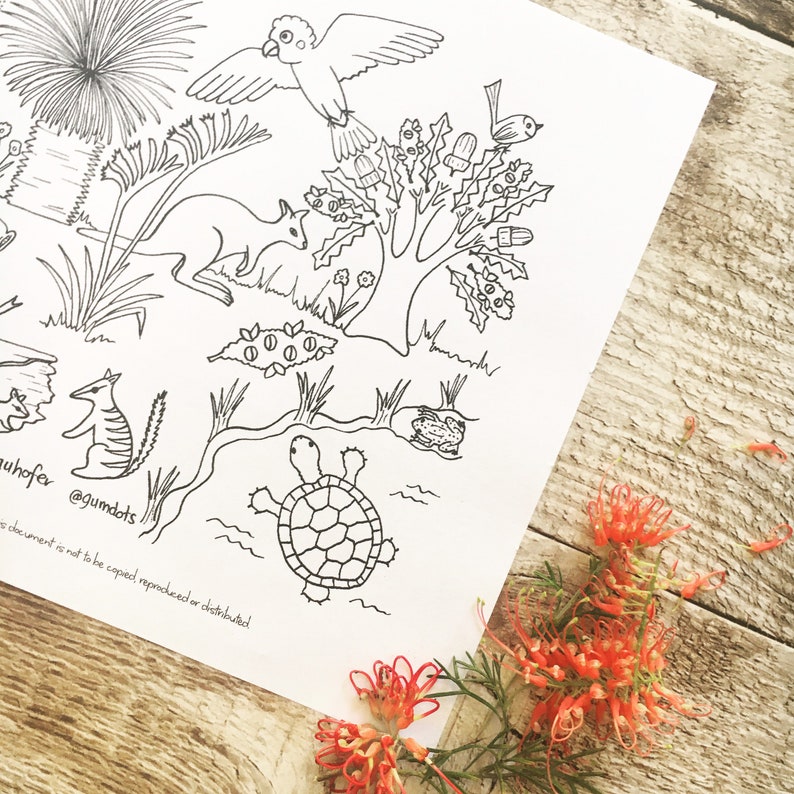 Australian Biodiversity Colour in Printable Illustration Kids - Etsy ...