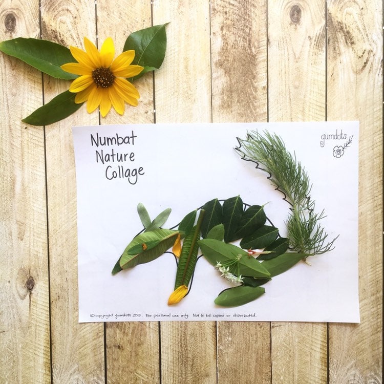 Australian bush kids activity printable bundle numbat nature | Etsy