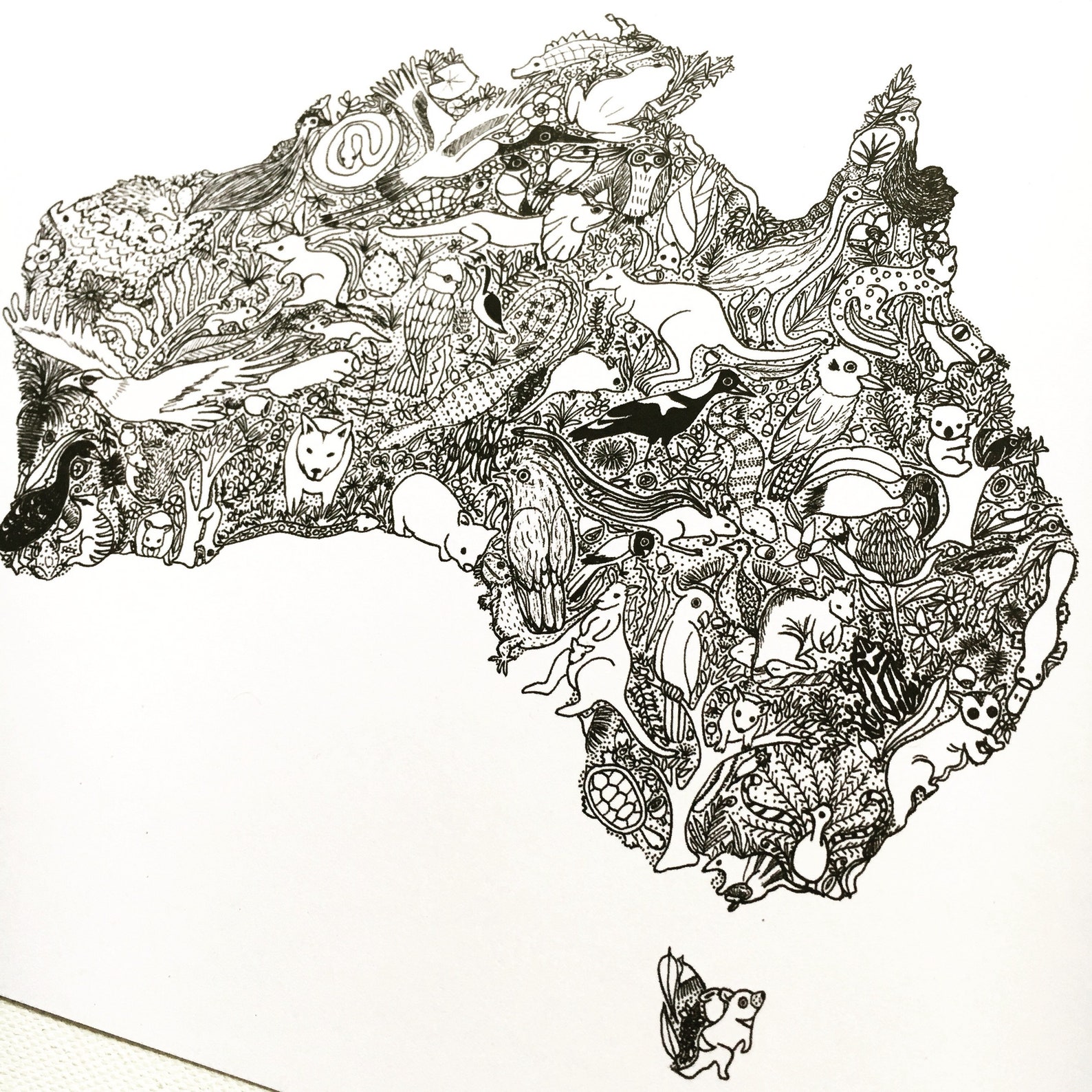 Great Southern Land Illustrated Map Australia A4 / A5 Unique Map ...