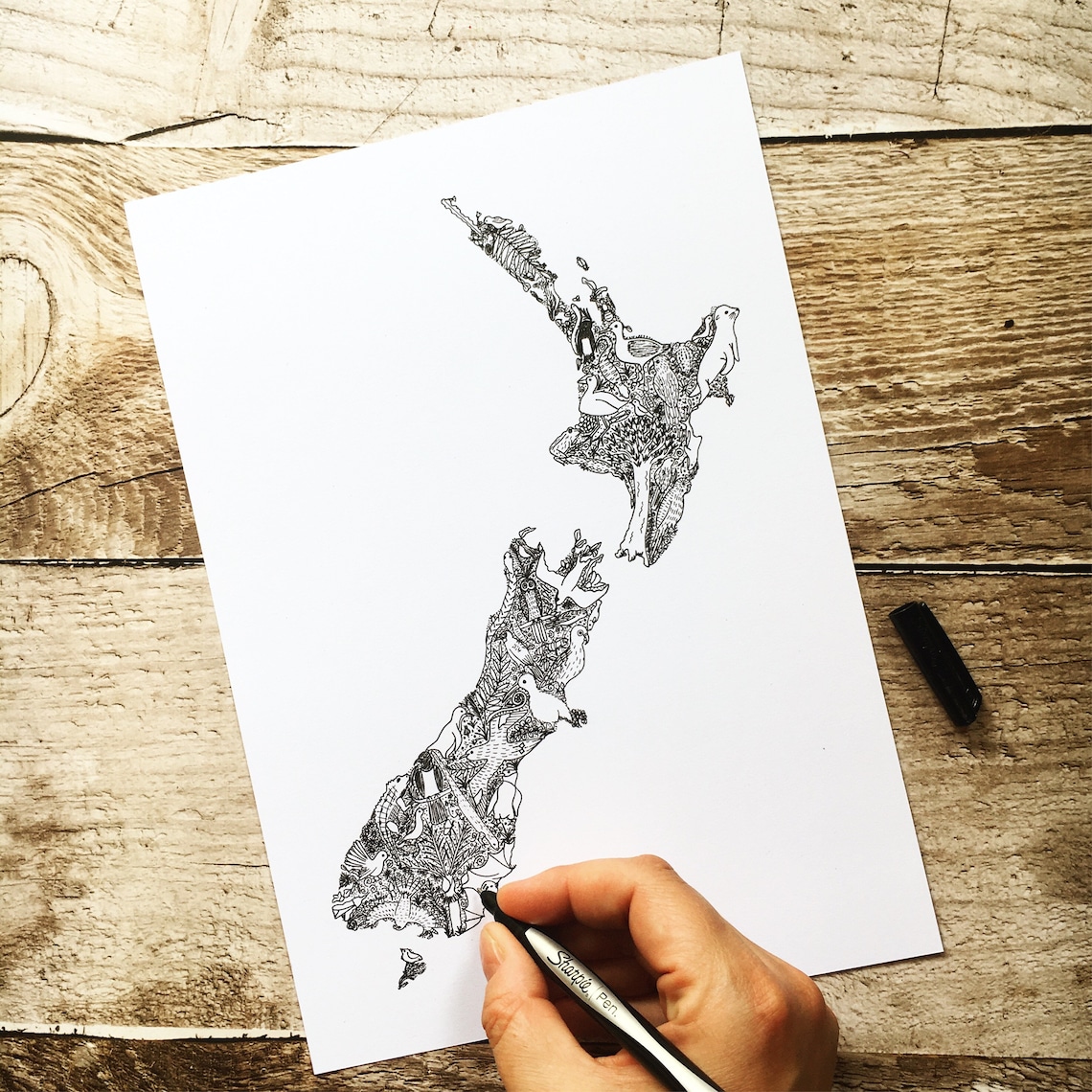 Illustrated Map of New Zealand- A3 Unique Map Illustration Print; NZ ...