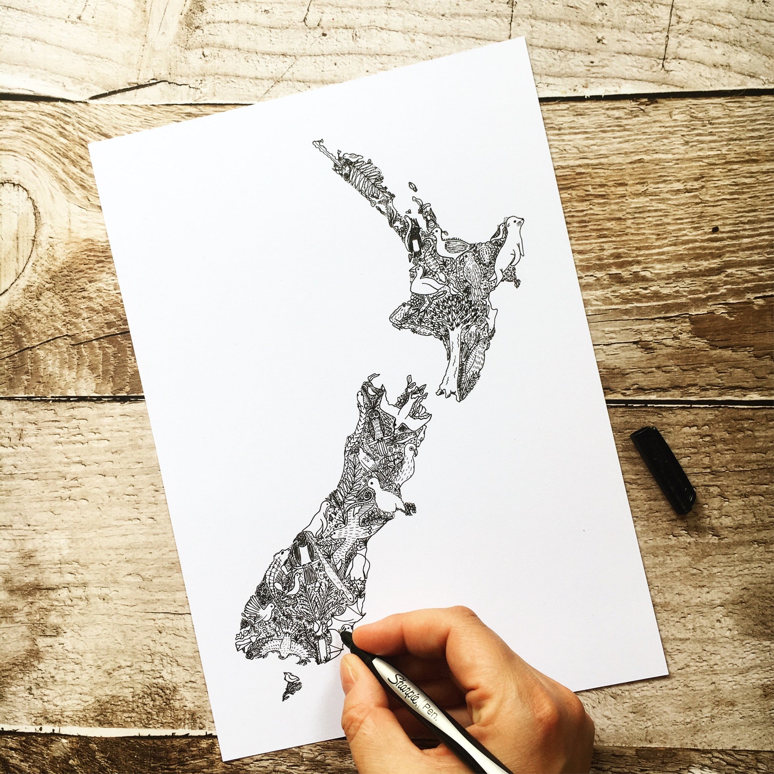 Illustrated Map of New Zealand- A3 Unique Map Illustration Print; NZ ...