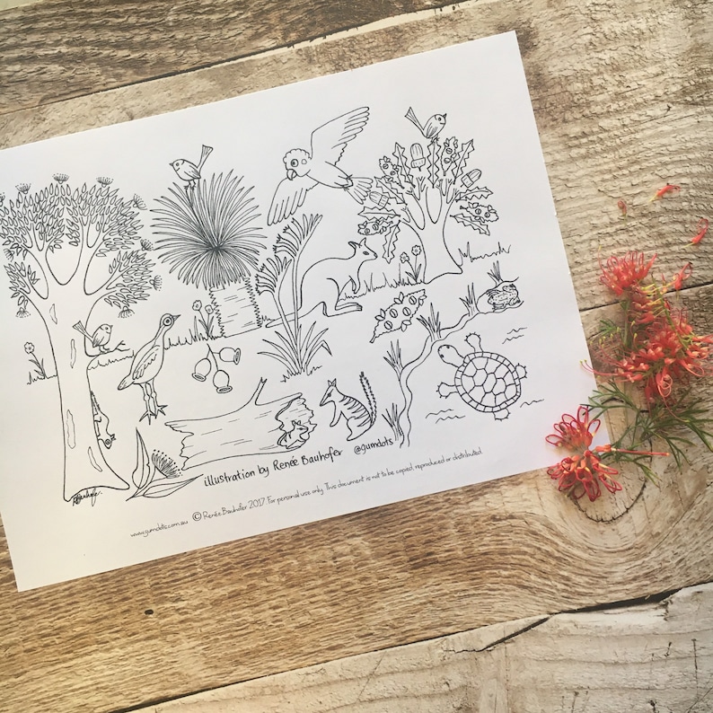 Australian Biodiversity Colour in Printable Illustration Kids | Etsy