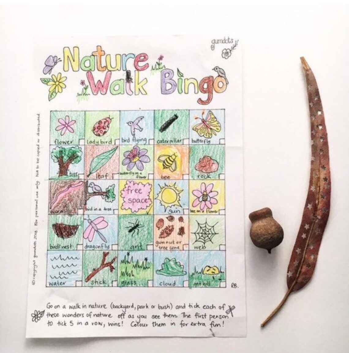 Australian Nature Bingo - Colour in Nature Craft, Digital File, Nature ...