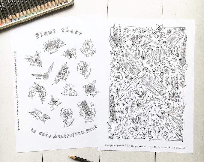 Australian Bee and Dragonfly Colouring Illustration Printable | Etsy