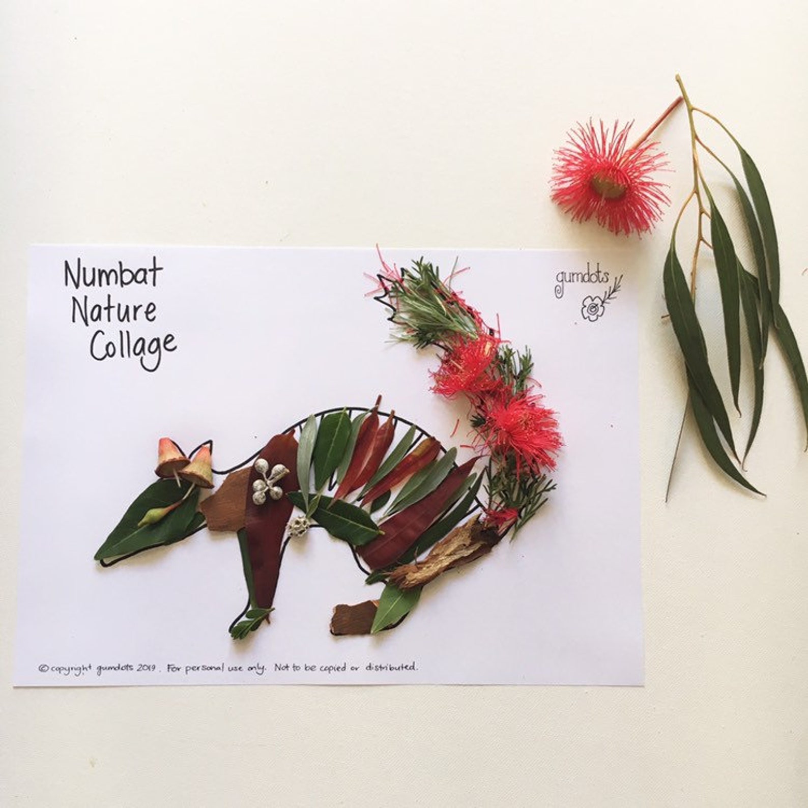 Australian Bush Kids Activity Printable Bundle Numbat- Nature Play Diy ...