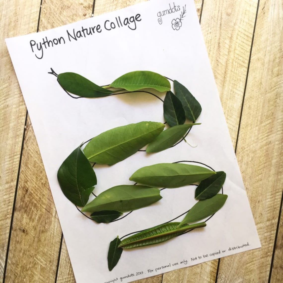 Australian Bush Kids Activity Printable Bundle Numbat- Nature Play Diy ...