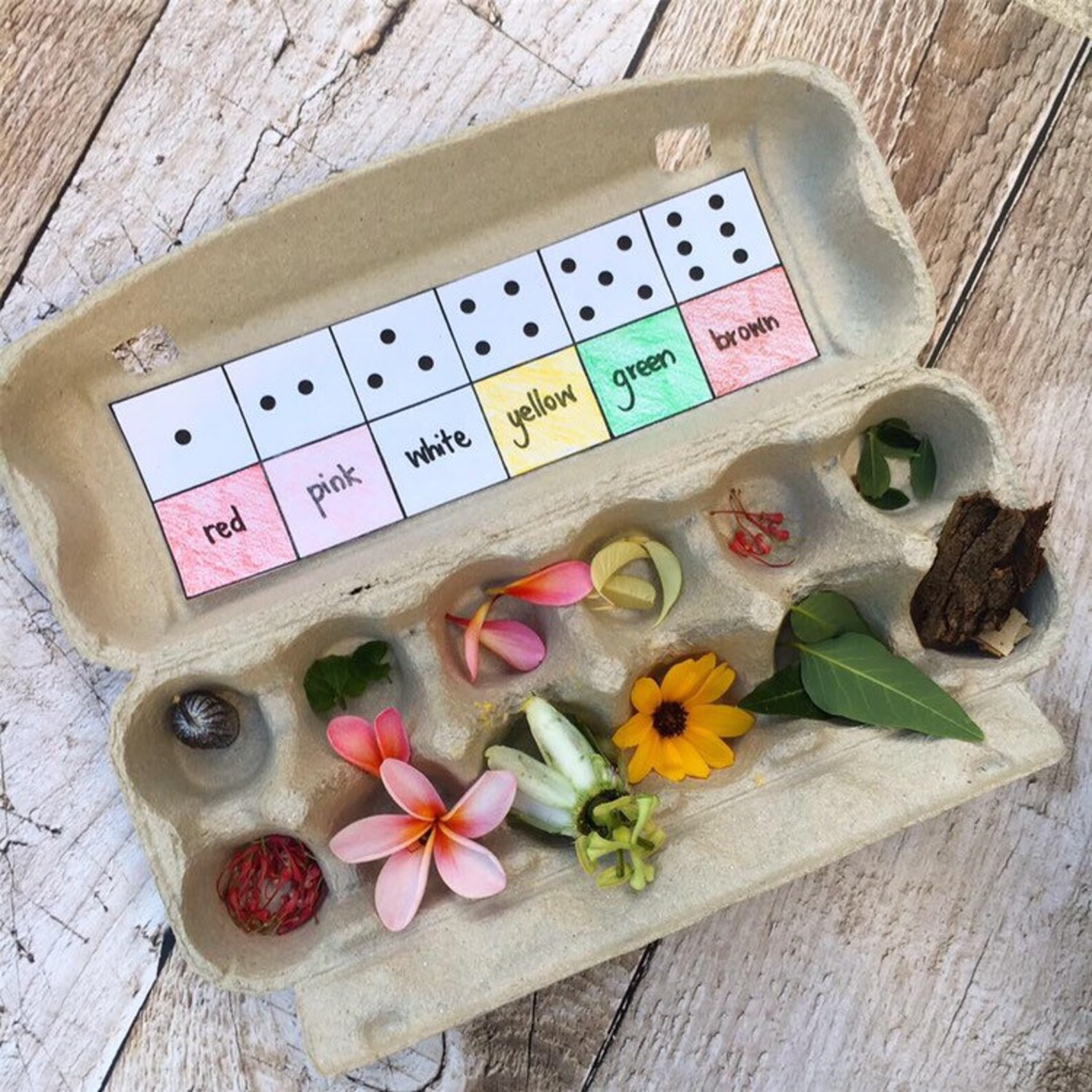 Australian bush kids activity printable bundle numbat nature | Etsy