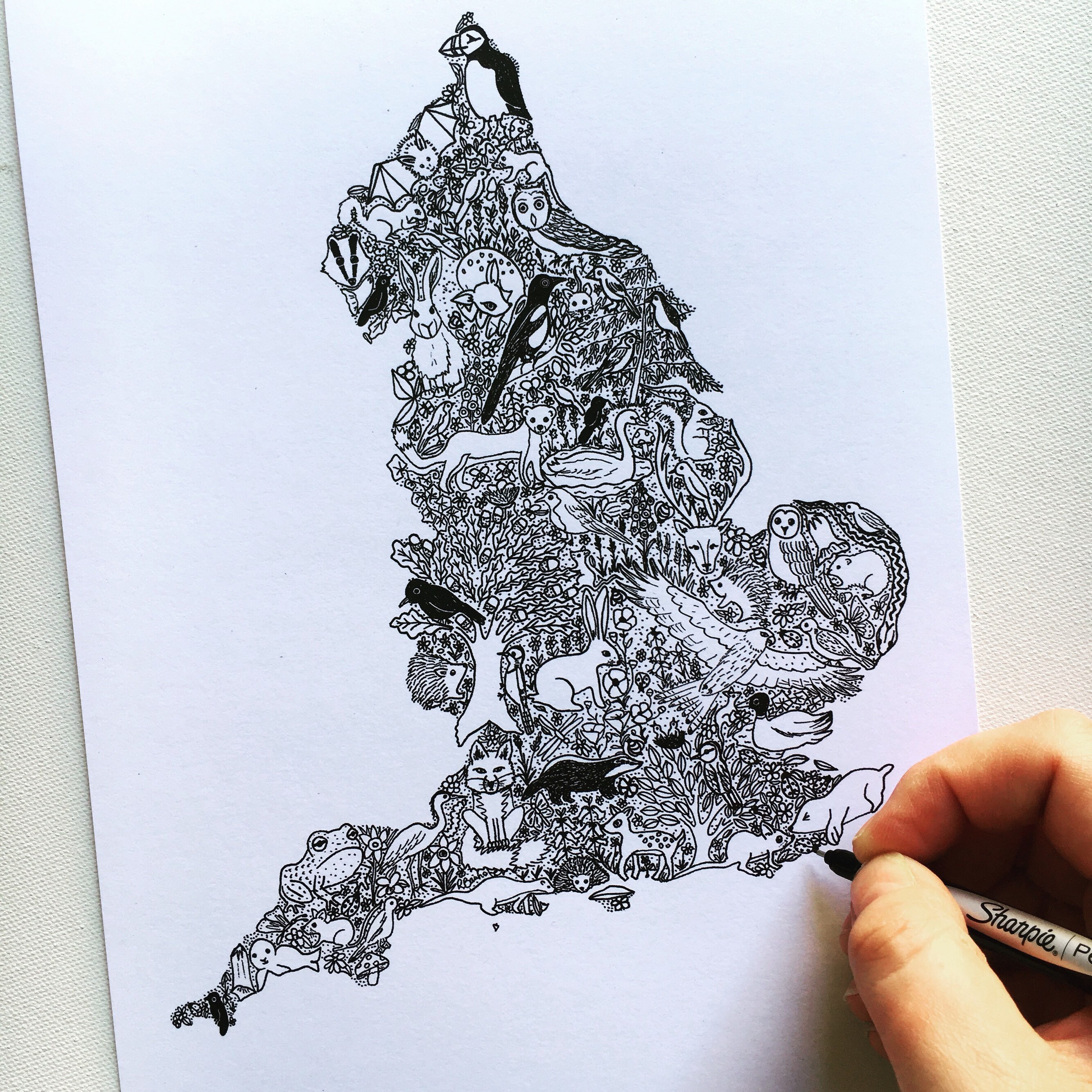 Illustrated Map of England A4 / A5 unique map illustration | Etsy