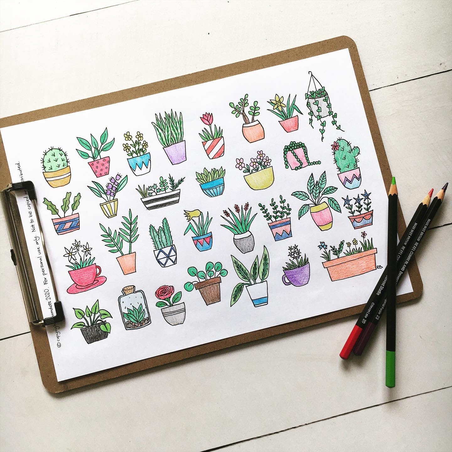 Pot Plant Colour in Goal Tracker Printable; Succulent Cactus Daisy ...