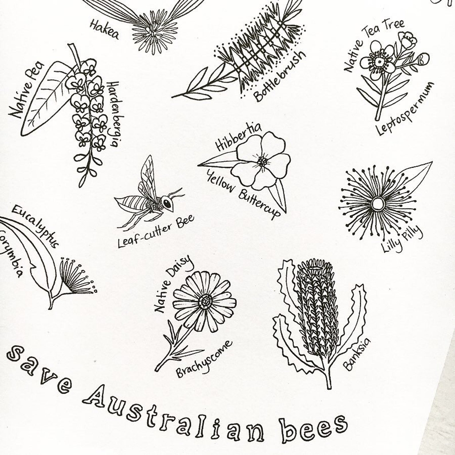 Plant These to Save Australian Bees Illustration Print - Etsy