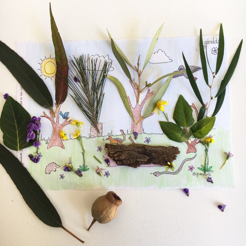 Australian Bush Kids Activity Echidna Printable Bundle Colour in Nature ...