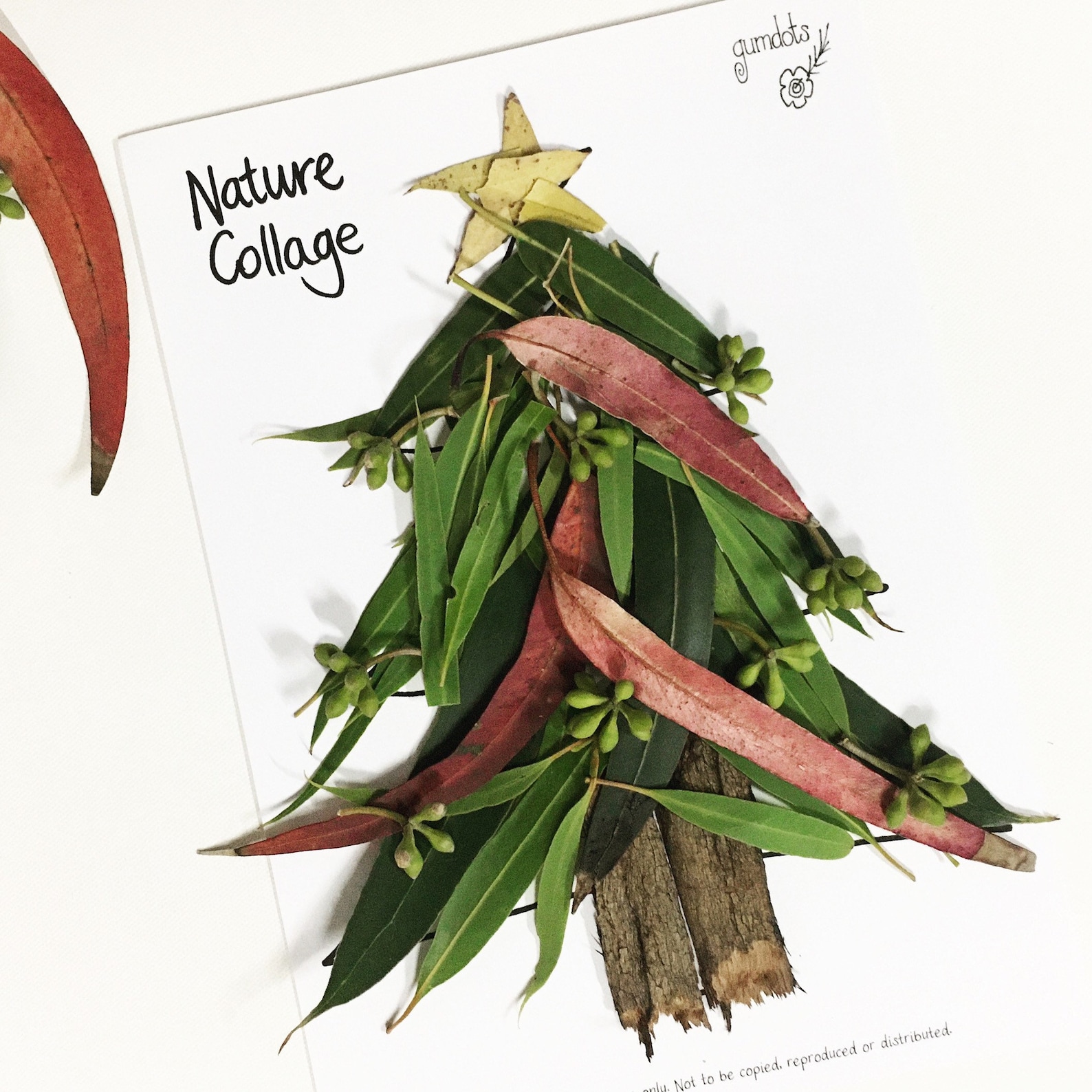 Australian Christmas Kids Activity Printable Bundle- Colour in Nature ...