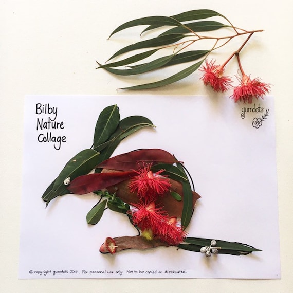 Easter Bilby Kids Activity Printable Bundle Colour in Nature | Etsy