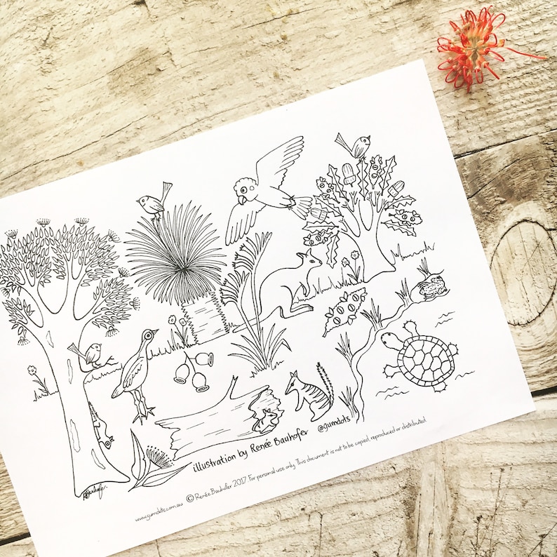 Australian Biodiversity Colour in Printable Illustration Kids - Etsy ...