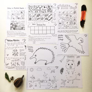 Australian Bush Kids Activity Echidna Printable Bundle Colour in Nature ...