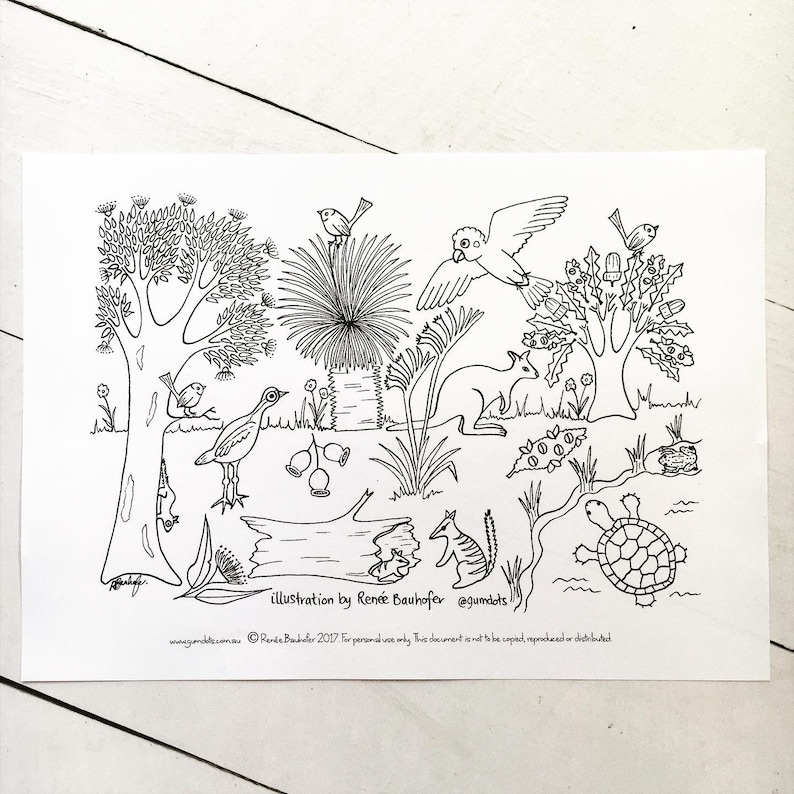Australian Biodiversity Colour in Printable Illustration Kids - Etsy ...
