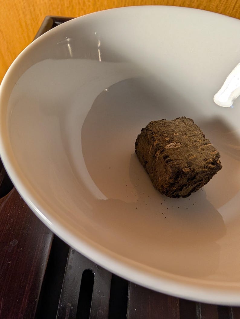 2012 Cha Yu Lin Hua Zhuan – Hunan Dark Tea - Etsy