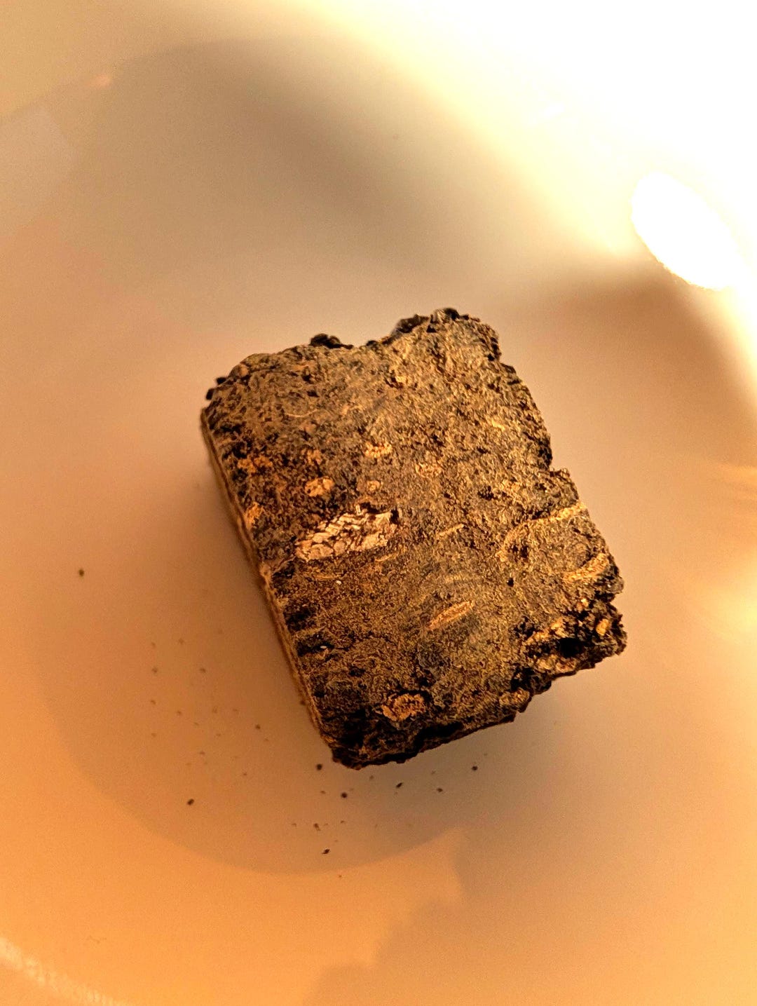 2012 Cha Yu Lin Hua Zhuan – Hunan Dark Tea - Etsy