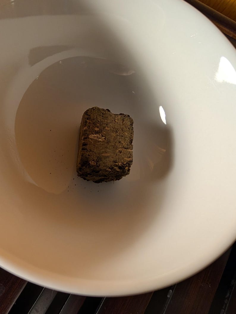 2012 Cha Yu Lin Hua Zhuan – Hunan Dark Tea - Etsy