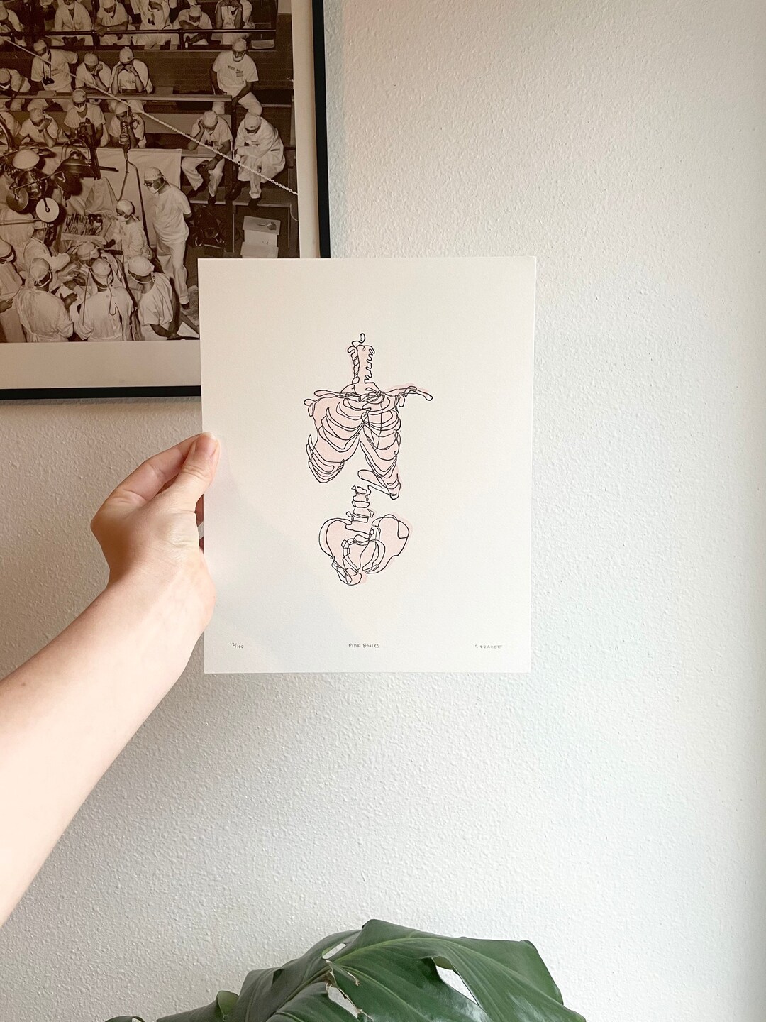 Pink Single Line Drawing of Skeletal System - Linocut Print - Etsy