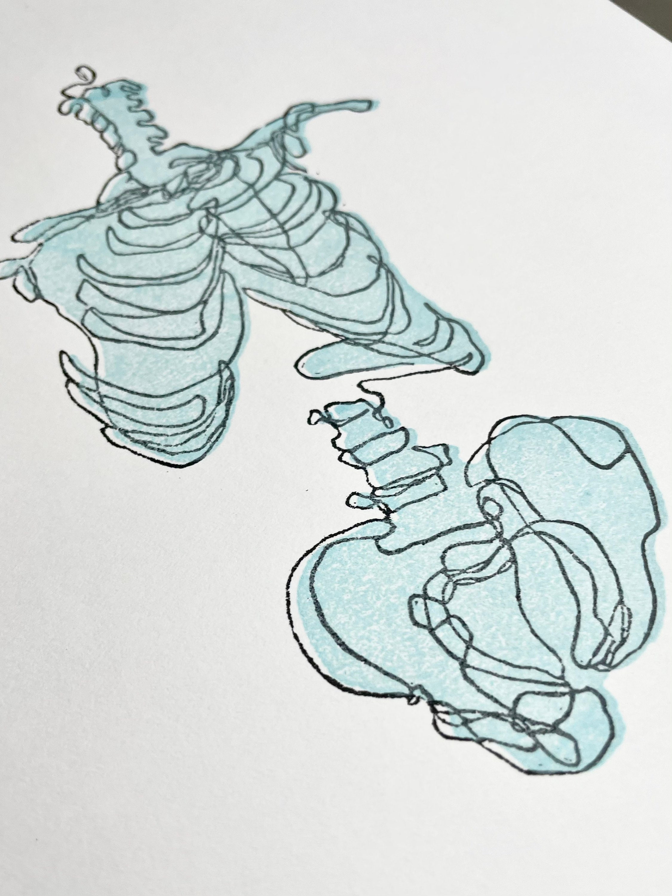 Blue Single Line Drawing of Skeletal System Linocut Print | Etsy