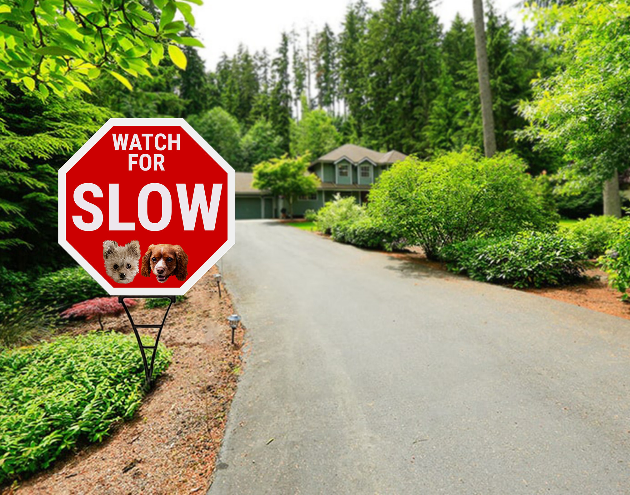 Personalized Pet Safety Sign Custom Pet Sign Your Pets - Etsy