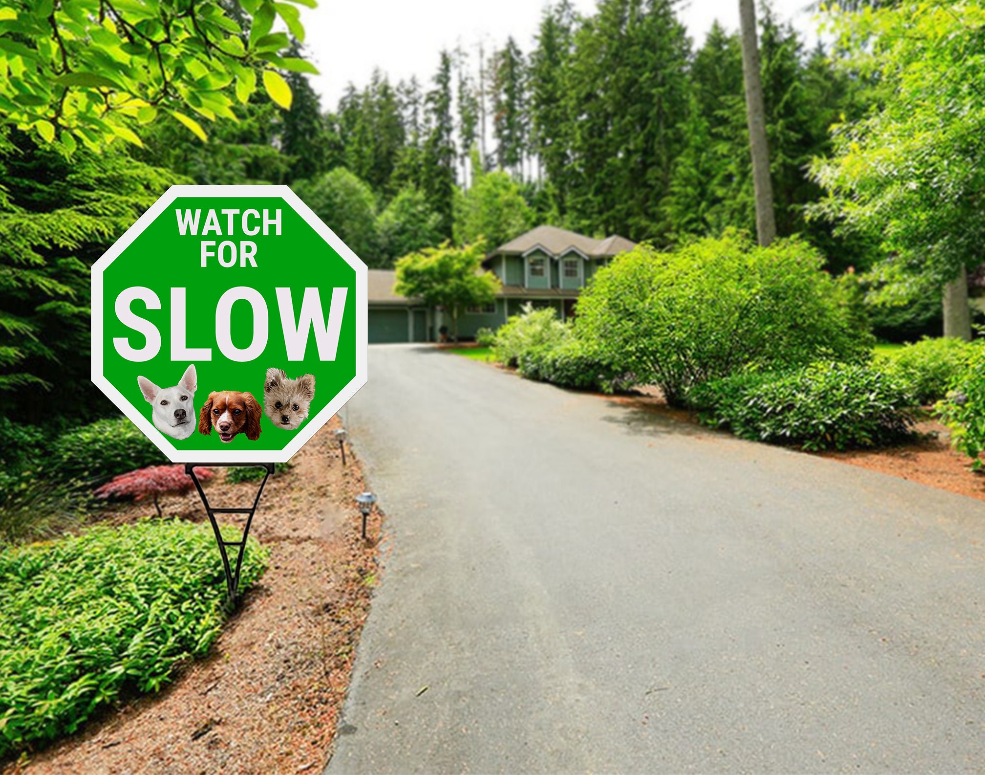 Personalized Pet Safety Sign Custom Pet Sign Your Pets - Etsy