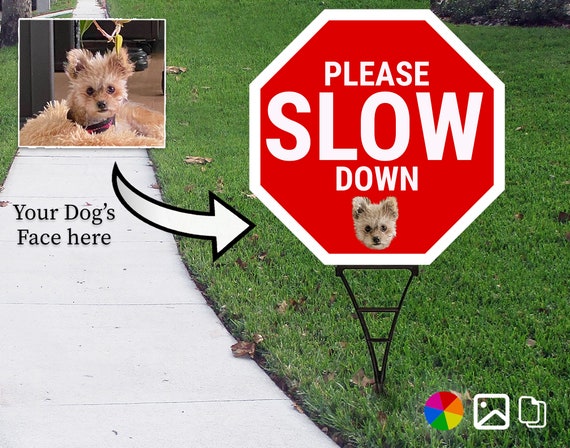 Personalized Pet Safety Sign Please Slow Down Custom Pet - Etsy