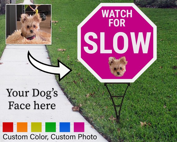 Personalized Pet Safety Sign Custom Pet Sign Your Pets | Etsy