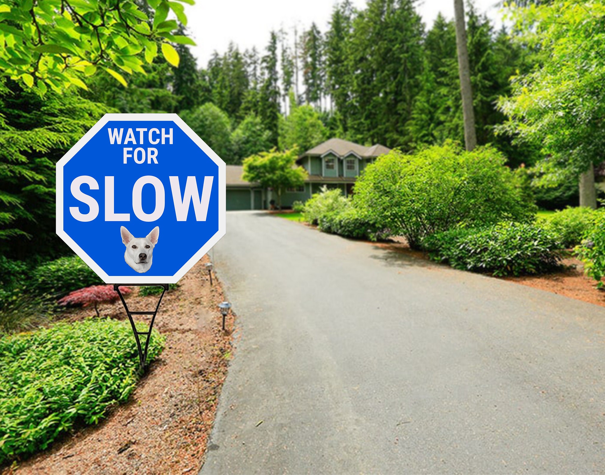 Personalized Pet Safety Sign Custom Pet Sign Your Pets - Etsy