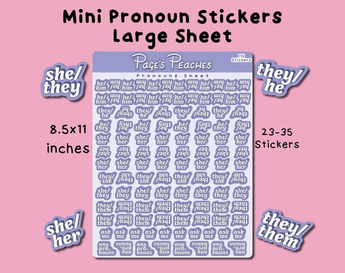 500 Small Round Pronoun Stickers for Conference Badges, Nametags, Etc ...