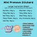 Mini Pronouns Sticker Sheet Bulk Small Pronoun Stickers for Name Tags ...