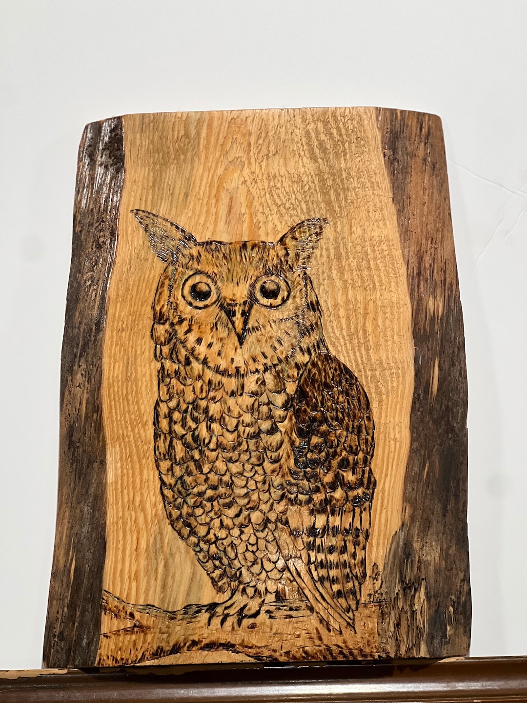 Owl Wood Burning Wall Hanging - Etsy